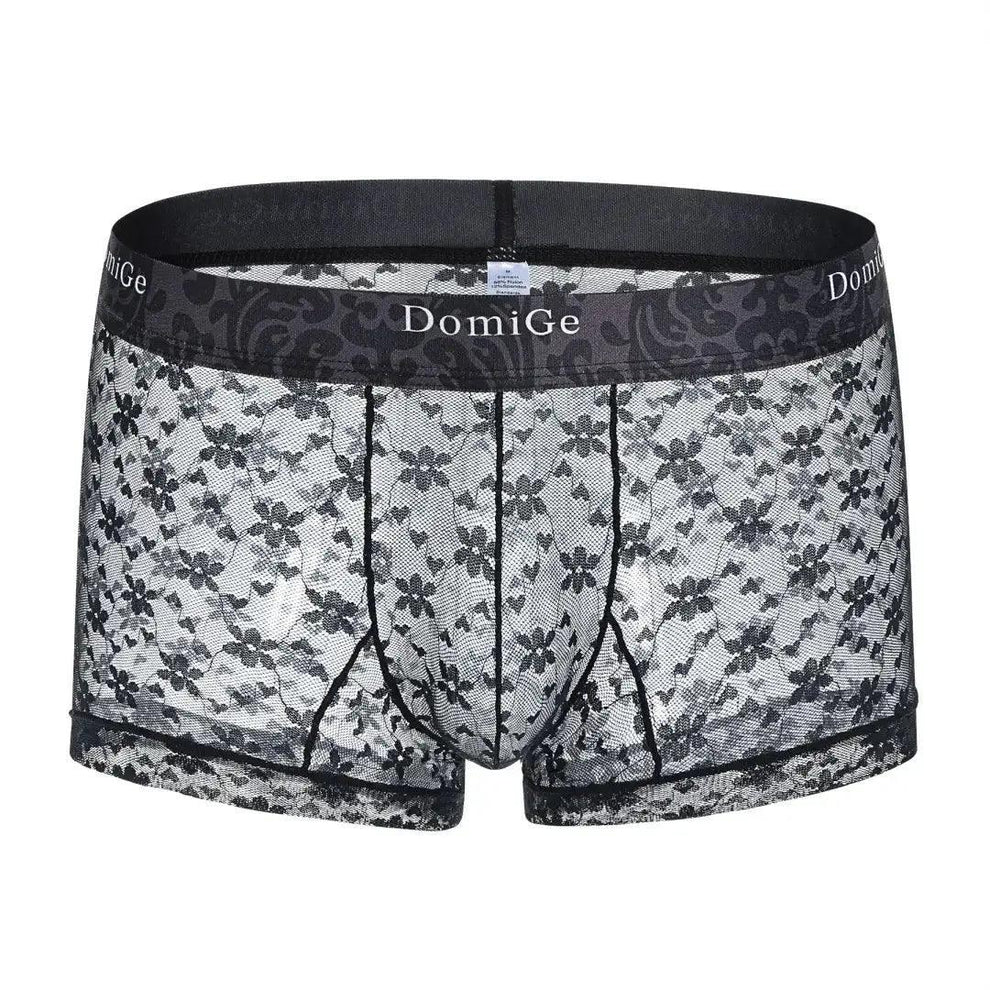 DomiGe Mesh Boxers Net Sexy Male Underwear for Men – Undies for Men